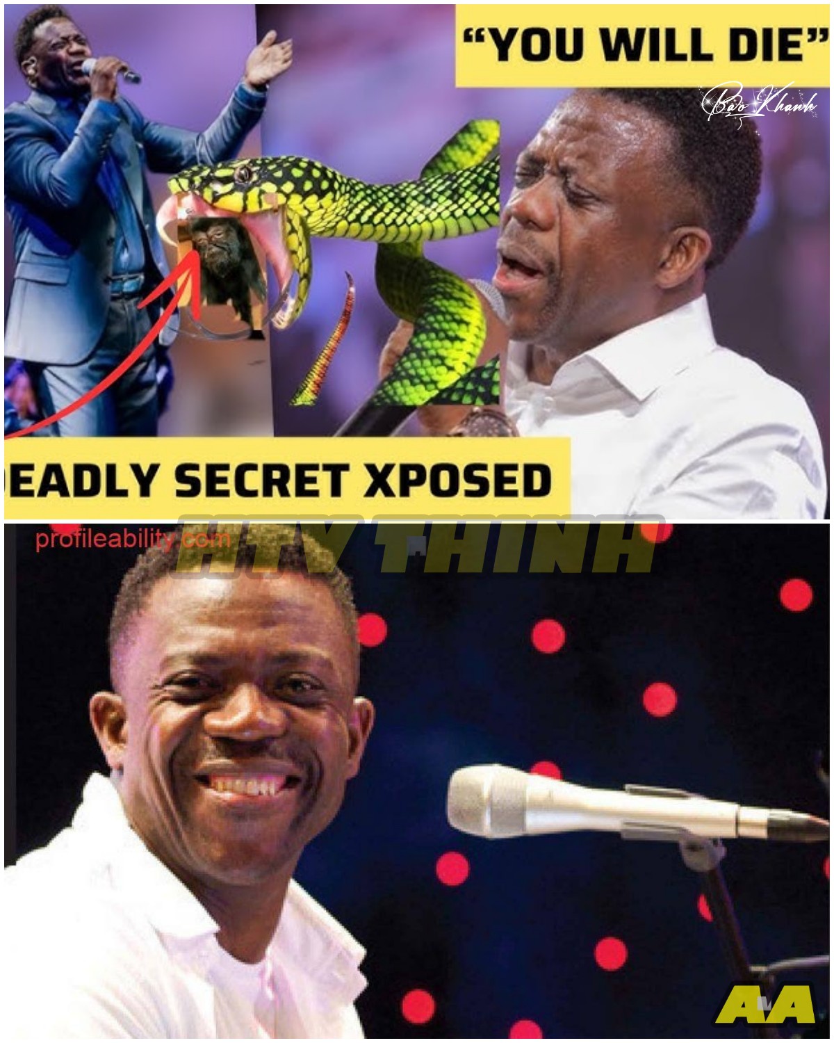 Snake for Fame - News