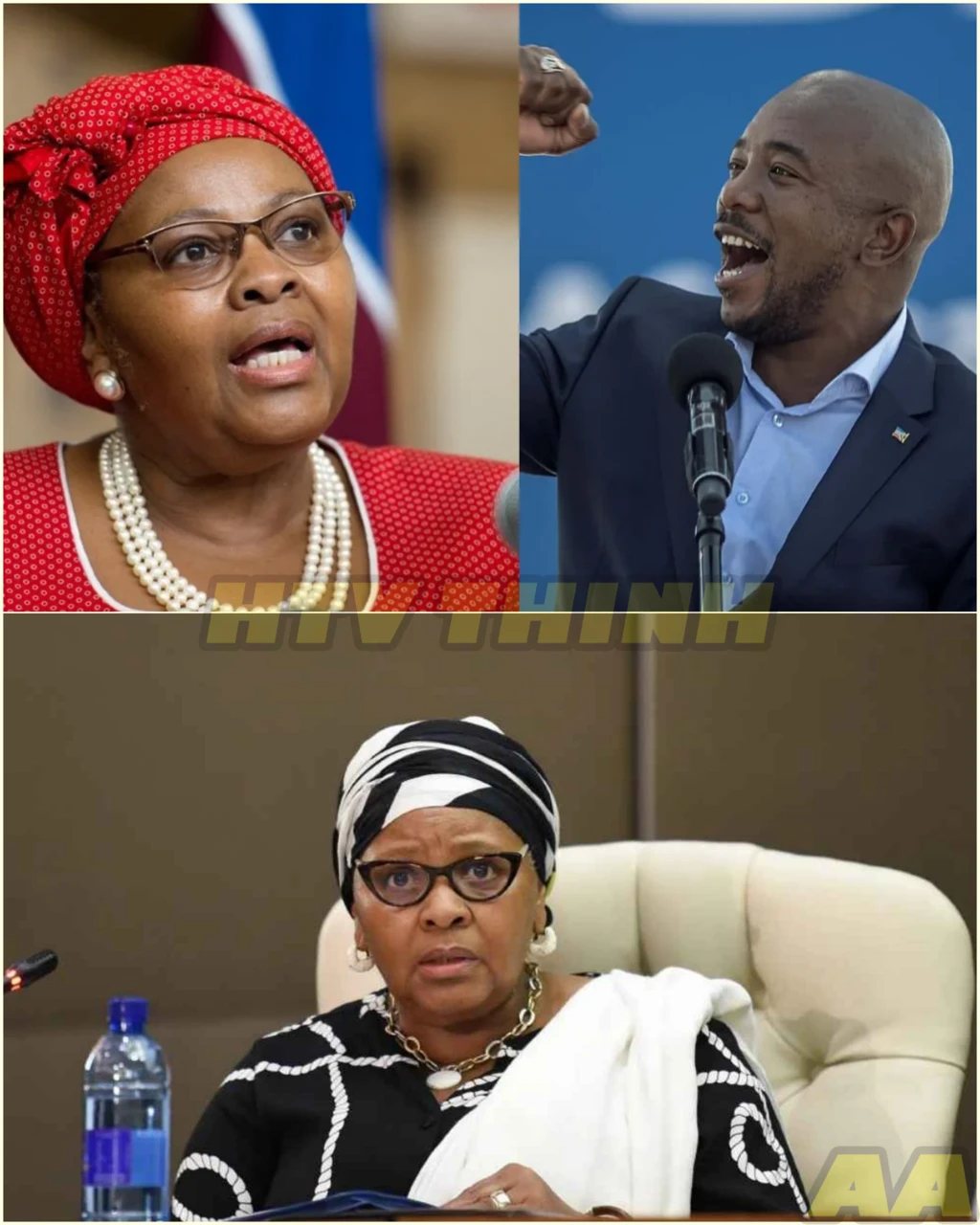 WATCH: Huge snake spotted near Nosiviwe Mapisa-Nqakula’s house - News