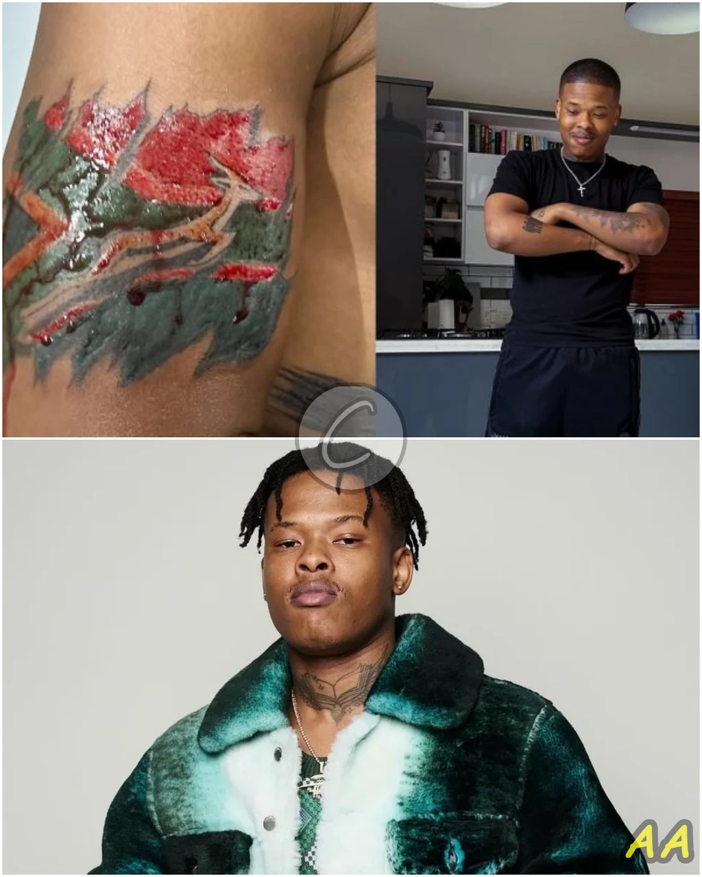 𝒩ℴ 𝒟𝒩𝒜 ℴ𝓃𝓁𝓎 ℛ𝒮𝒜 - News