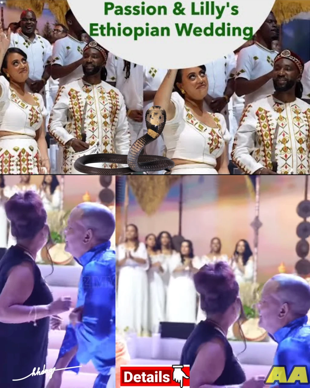 Terrifying Encounter: Venomous Snake Emerges Out of Nowhere and ...