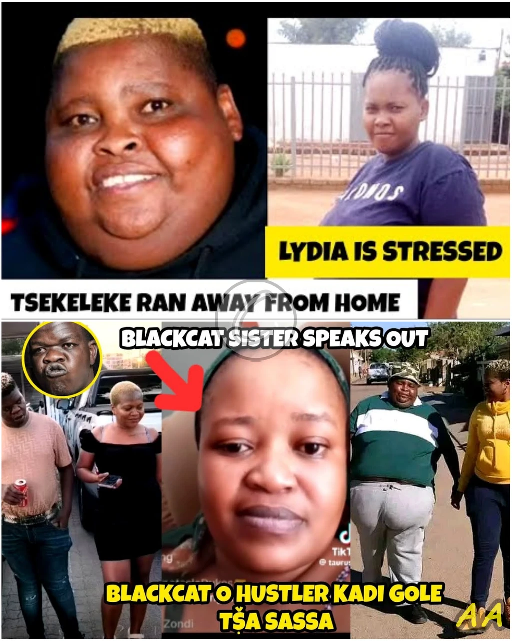 𝔅𝔩𝔞𝔠𝔨𝔠𝔞𝔱 ℜ100𝔨 𝔇𝔢𝔪𝔞𝔫𝔡 - News