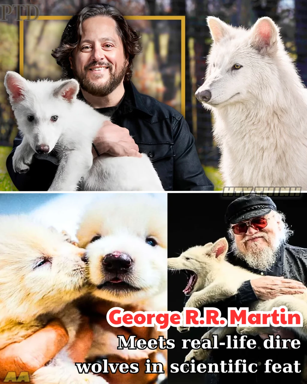 George R.R. Martin Meets Real-Life Dire Wolves: A Scientific Feat That ...