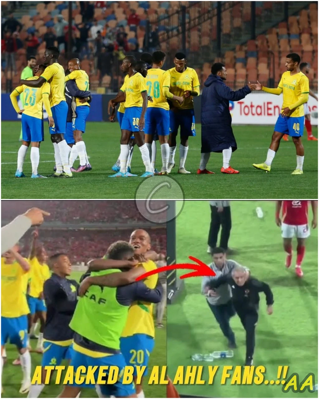 𝑺𝒖𝒏𝒅𝒐𝒘𝒏𝒔 𝒃𝒆𝒂𝒕 𝑨𝒍 𝑨𝒉𝒍𝒚 - News