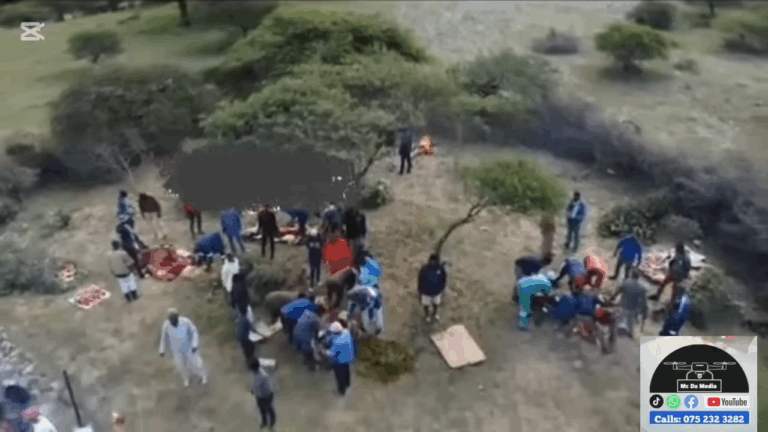 Umemulo Ceremony in Msinga: A Celebration of Culture and Tradition - News