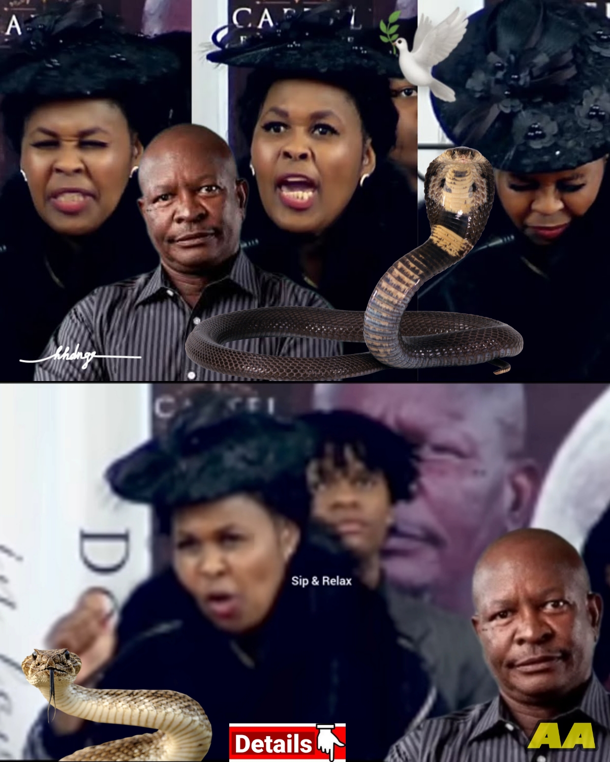 ‘He Wasn’t Just Sick’: Don Mlangeni’s Widow Exposes Sinister Snake ...