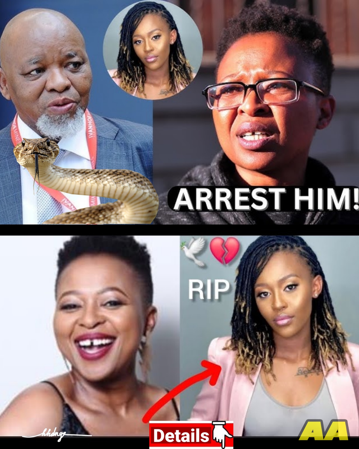 From Fame to Fear: Dark Forces, Deadly Snakes, and the Haunting Mystery ...