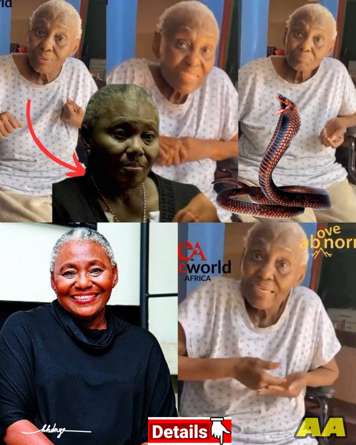 Mam Nandi Nyembe’s Emotional Breakdown Linked to Mysterious Snake ...