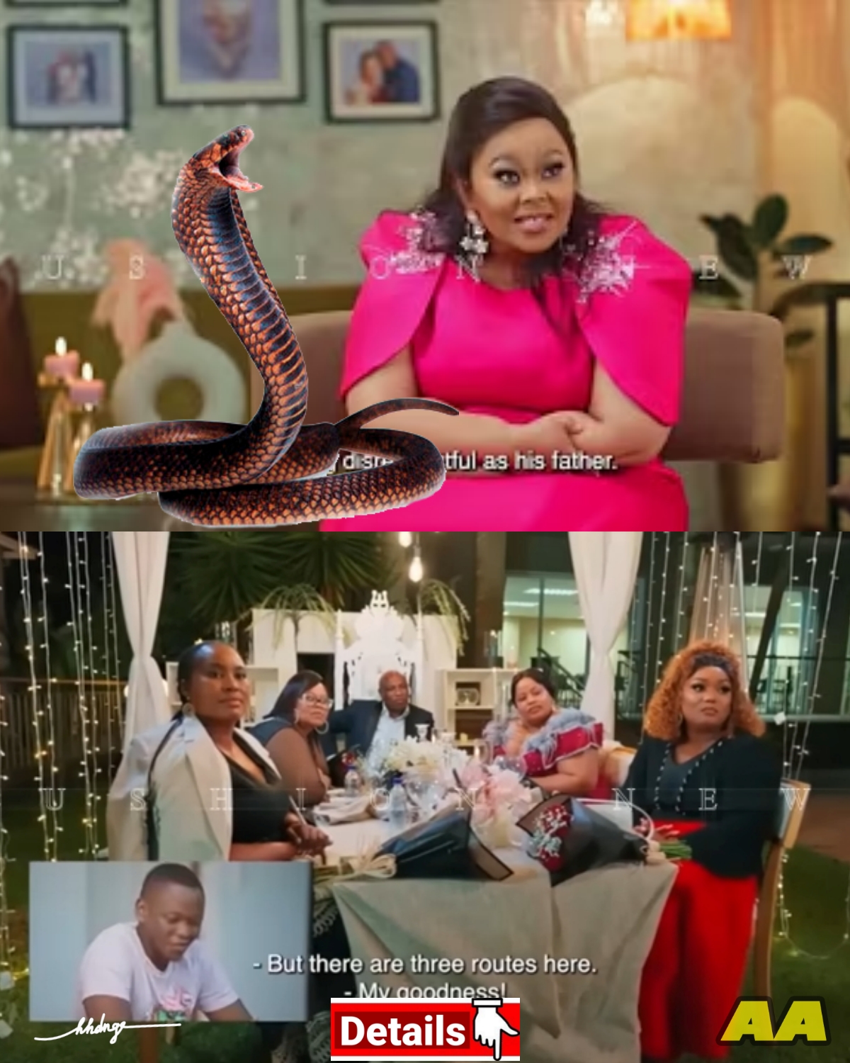 What the cameras didn’t show: a real snake was later found near Mayeni’s room, leaving the ...