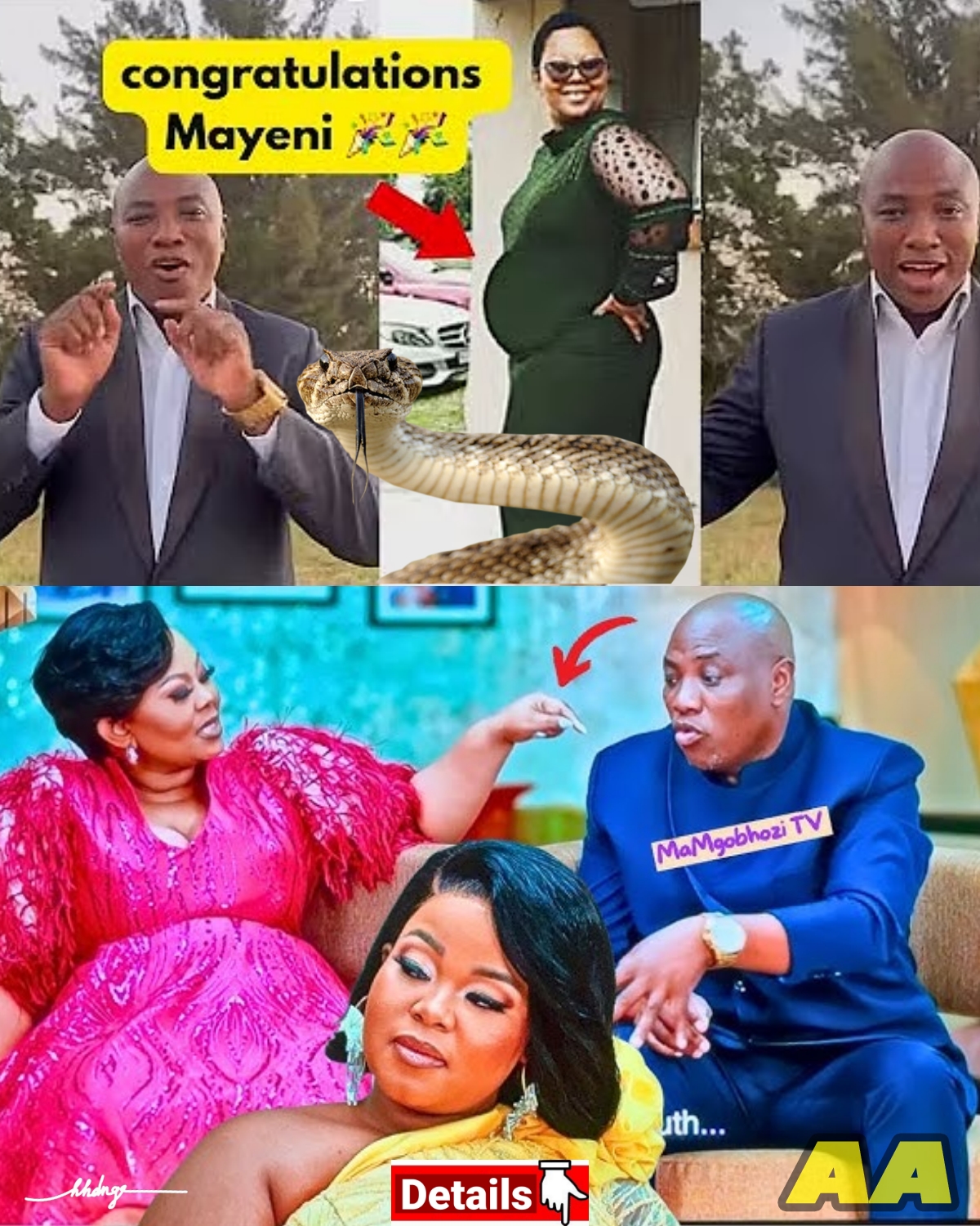 Mayeni Mseleku’s 4th Pregnancy Announcement Sparks Panic—Is the Same Snake That “Blessed” Her ...