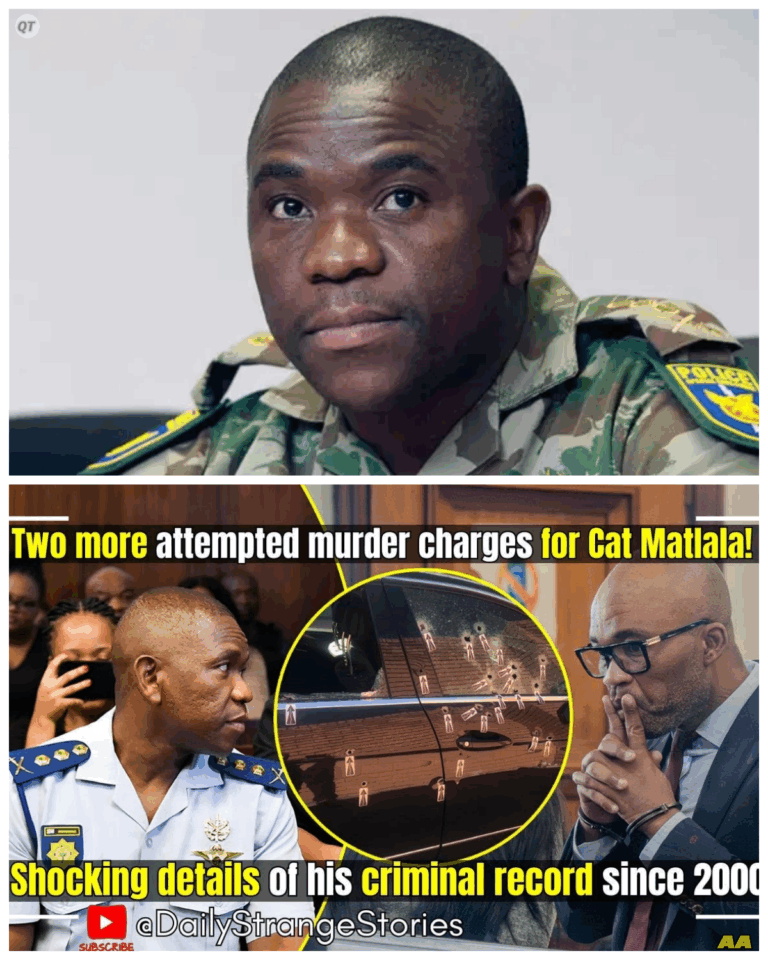 💥⚖️ "Mkhwanazi Drops BOMBSHELL! Adds More Attempted Murder Charges Against Cat Matlala — The ...