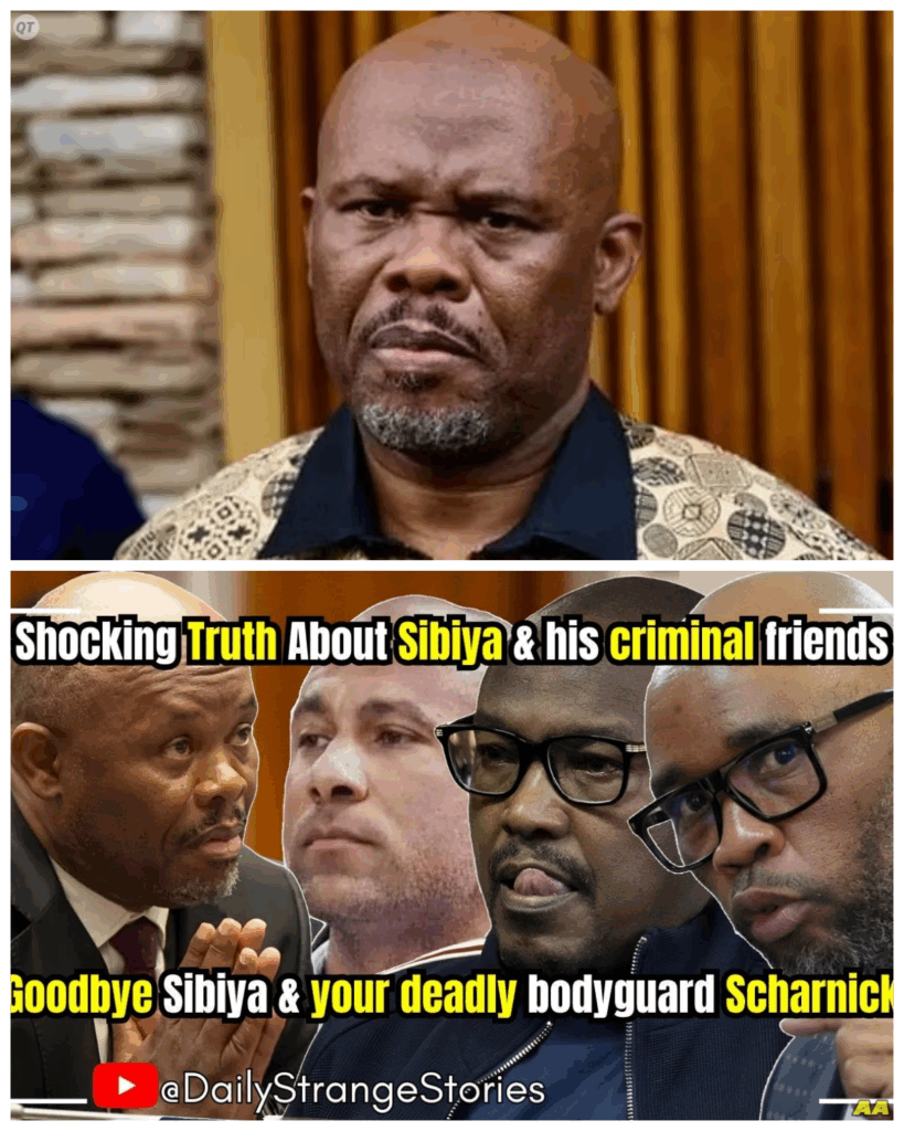 "THE SHOCKING TRUTH ABOUT SIBIYA AND HIS CRIMINAL FRIENDS: GOODBYE ...