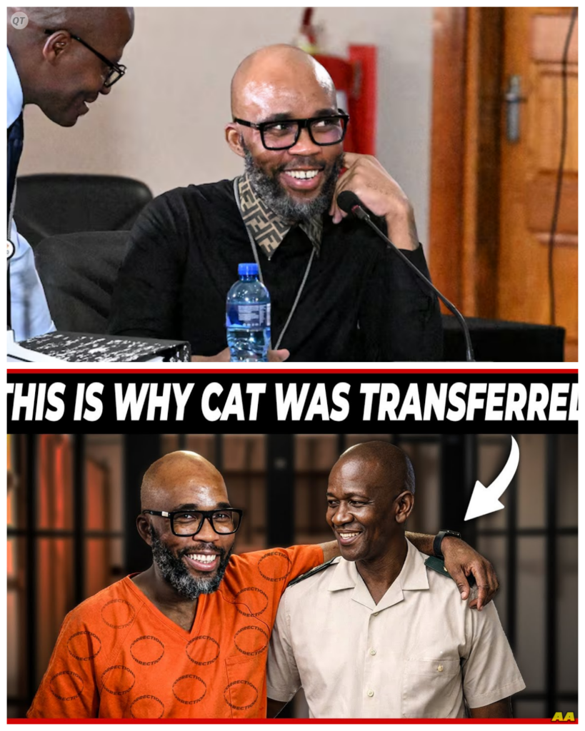Cat Matlala’s Scandalous Transfer: A Corruption Probe That Could Change ...