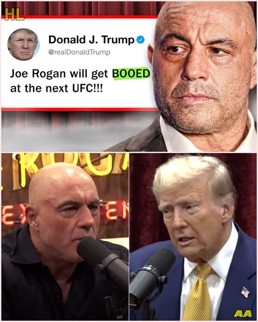 🔥💥 Trump Calls Out Joe Rogan: The Shocking Media Scandal MSNBC Doesn’t ...